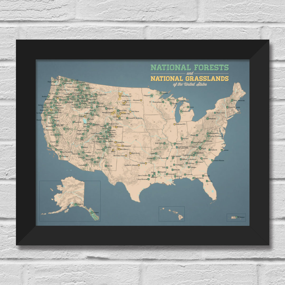 US National Forests Map 11x14 Print – Best Maps Ever